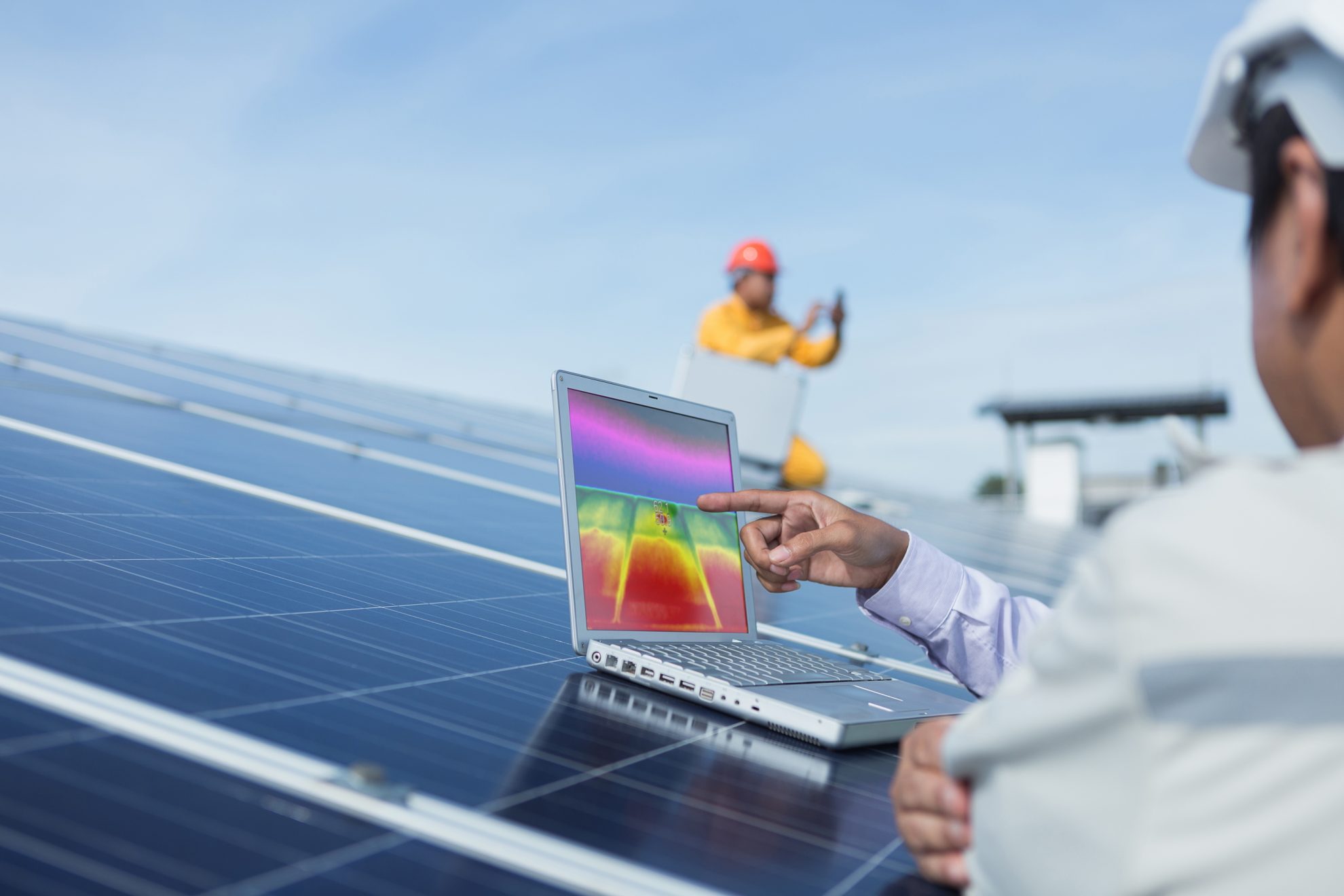 How Pests Damage Solar PV Systems – Slick Tools LLC